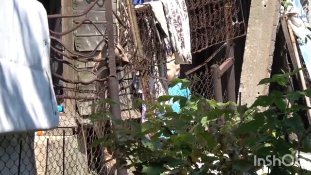 События 23-28 июля 2024 Памяти детей погибших от рук украины