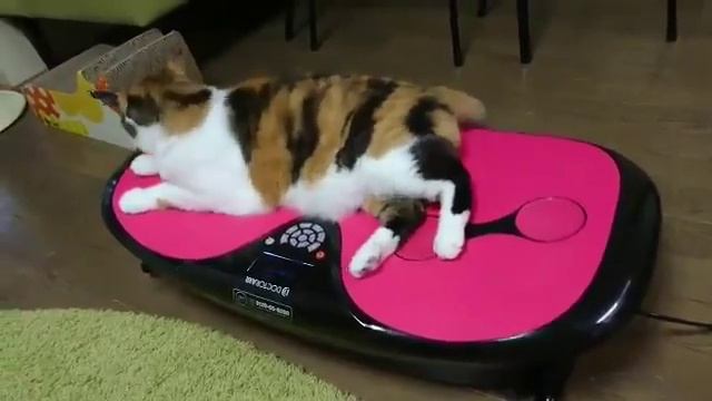 Убираем лишний жир