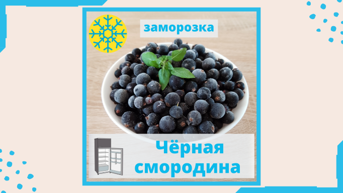 Черная смородина заморозка.mp4