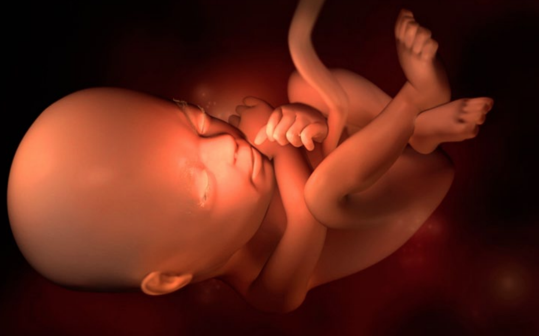 9 месяцев беременности за 20 минут