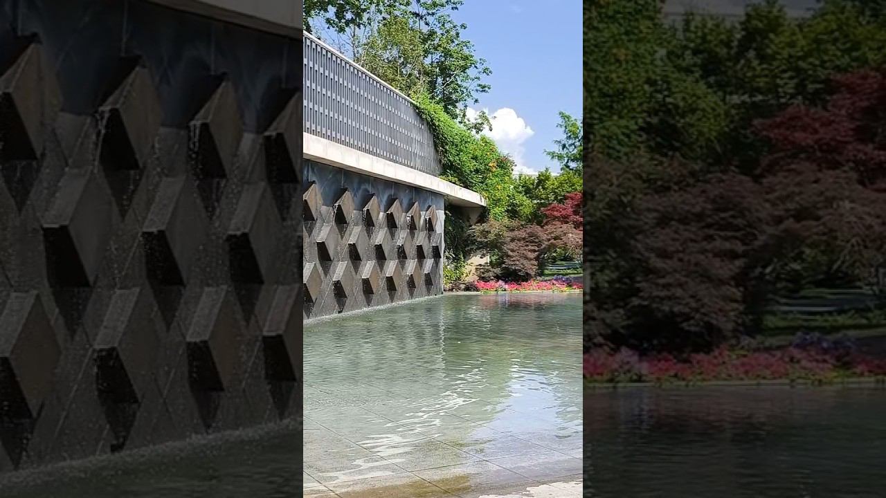 ЯПОНСКИЙ УГОЛОК 2026 ПАРК ГАЛИЦКОГО КРАСНОДАР ЛЕТО ИЮНЬ Asmr Асмр звуки природы Шум воды Пение птиц