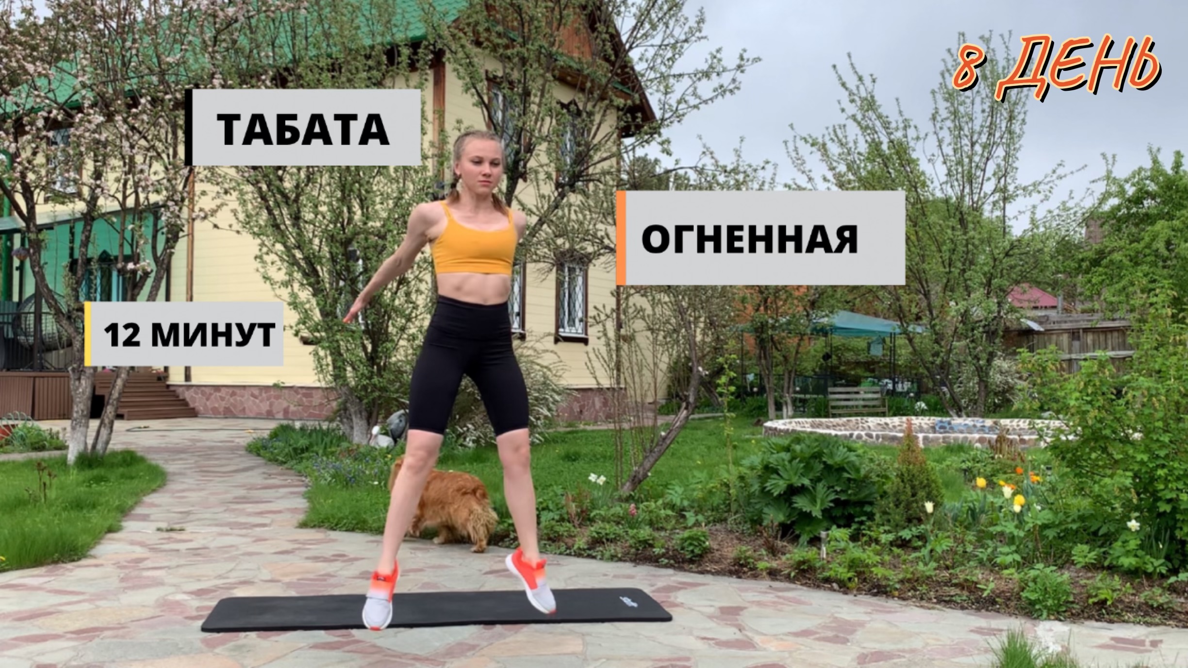 ДЕНЬ ВОСЬМОЙ— ТАБАТА ЧЕЛЛЕНДЖ — ИСПЫТАЙ СЕБЯ, ЧТОБЫ ИЗМЕНИТЬСЯ