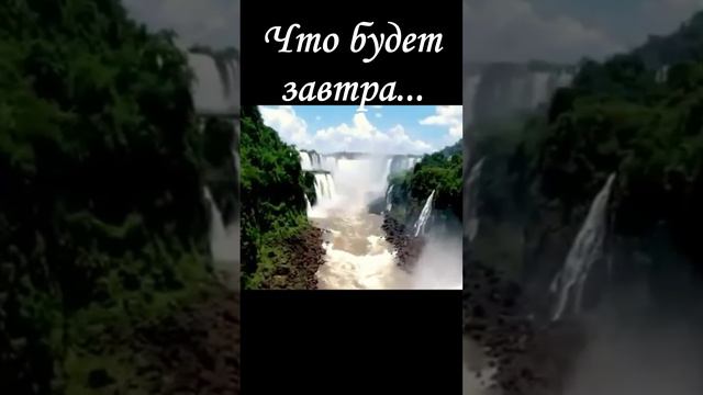 Жизнь - это...