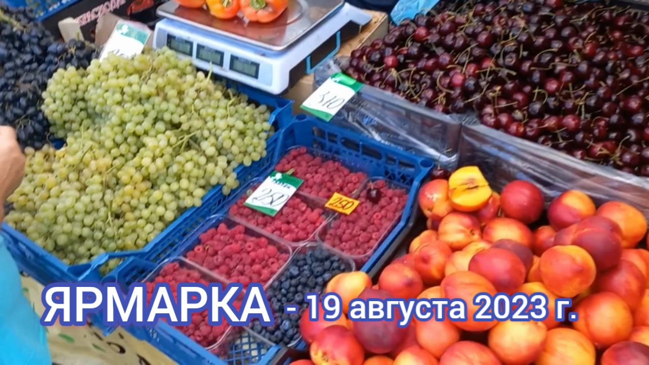 Краснодар - Ярмарка выходного дня на ул. Одесской - цены - 19 августа 2023 г.
