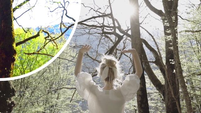 переход Iris_1080p.mp4