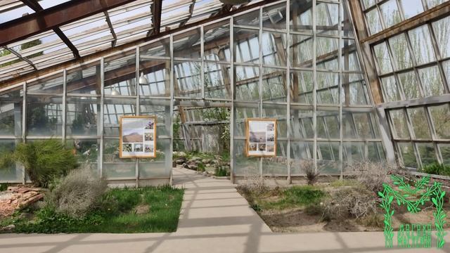 оранжерея. Бот сад Ереван. Место силы