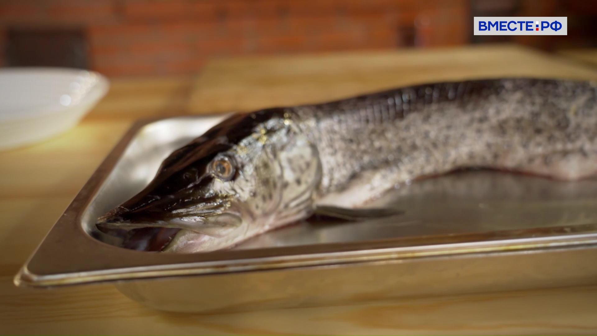 Бурейская щука