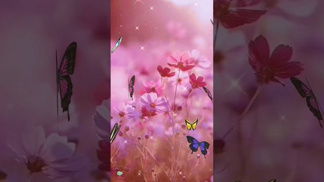 СЧАСТЬЯ, РАДОСТИ, ЛЮБВИ!