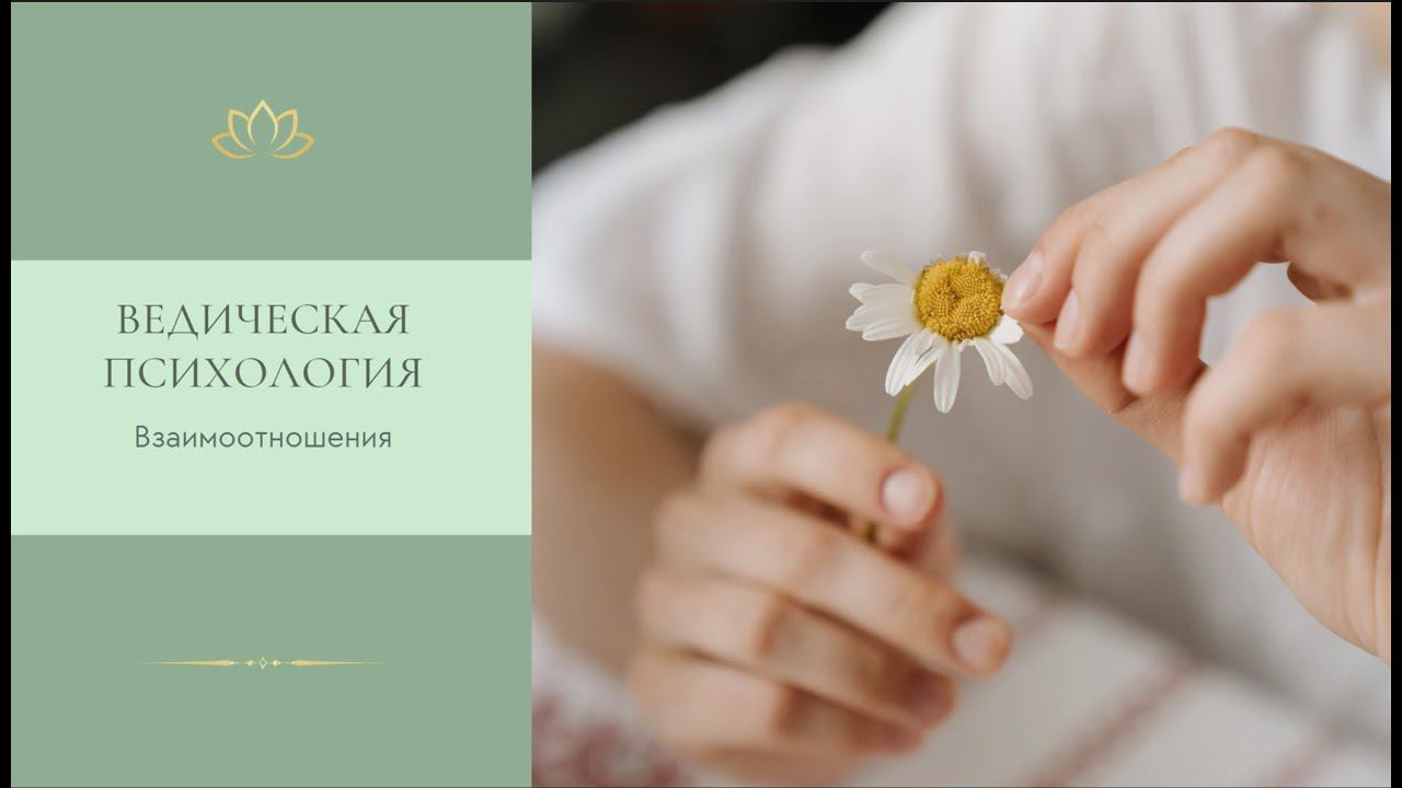 Взаимоотношения мужчин и женщин. Часть 6