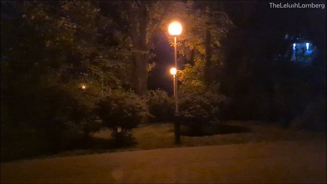 World in Emotion #48 KRD Summer night walks