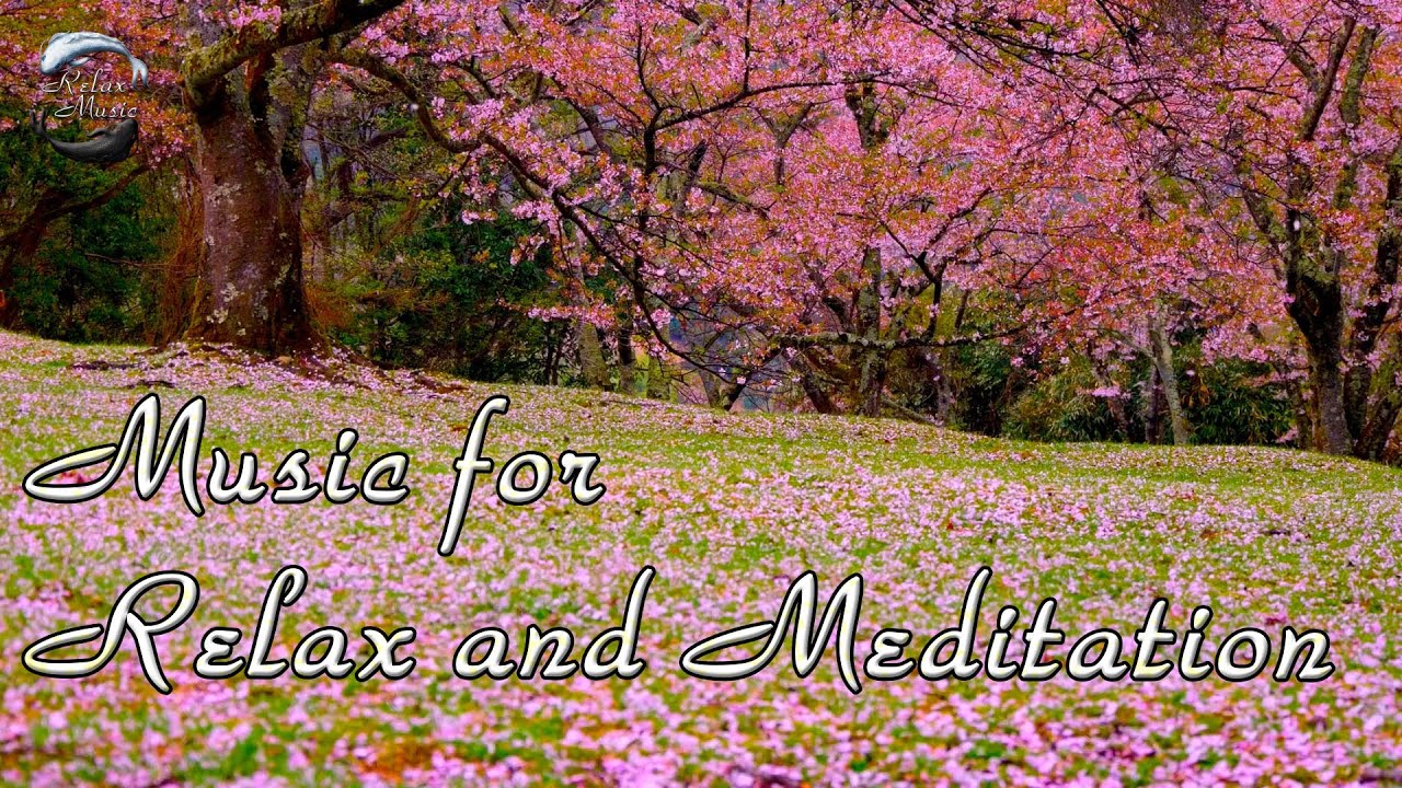 Красивая музыка с Восточным мотивом для Отдыха, Сна, Медитации