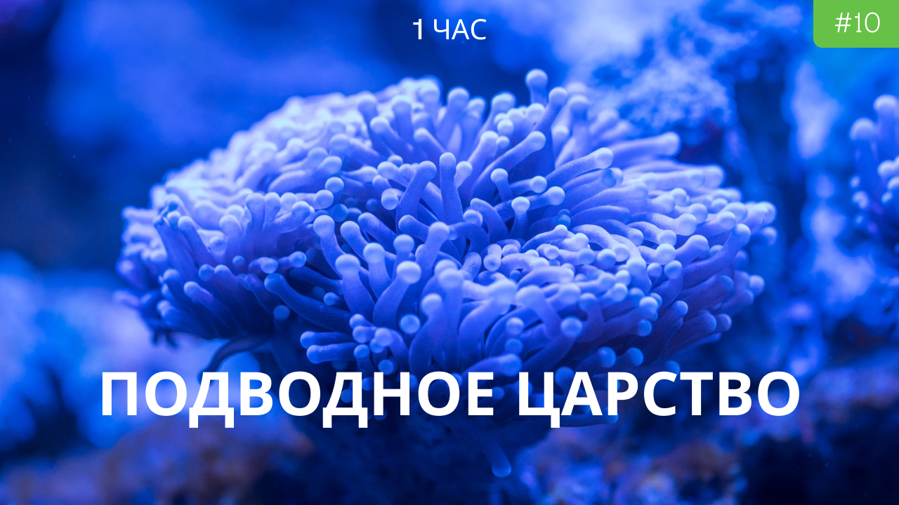 Расслабляющая музыка + Потрясающее подводное видео | Расслабление на природе | Красивое Фортепиано