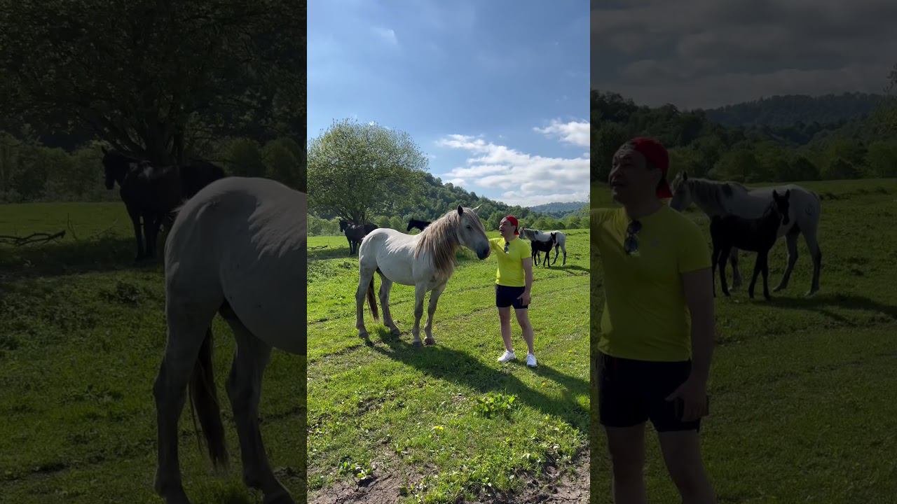 Конь и его уши