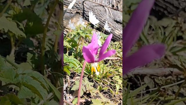 молодость 🥰