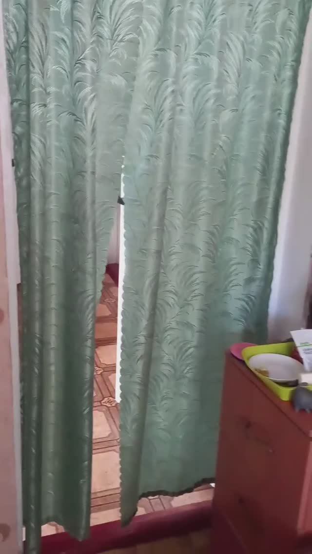 ехала, приехала