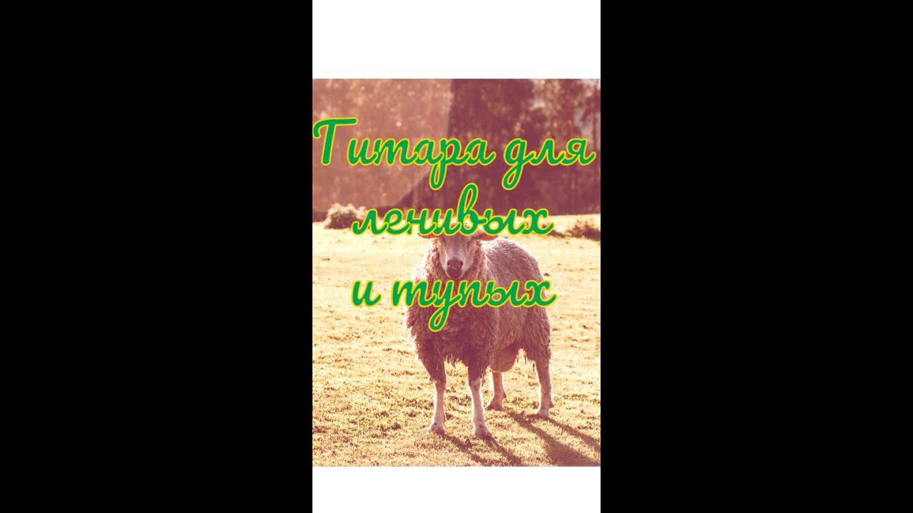 Гитара для ленивых и тупых. Устройство гитары.