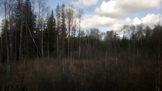 вид по пути следования по Бологое-Полоцкой железной дороги из Бологого