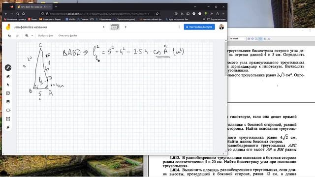 vid.24-Сканави-ч.2-1.013-вар.2