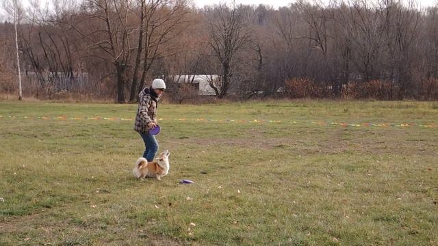 Frisbee Battle Хантер vs Несси.mp4