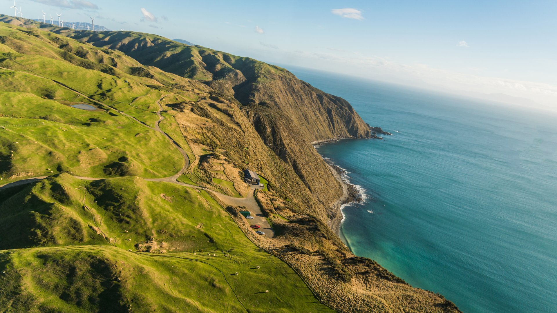 Видео про полярного медведя