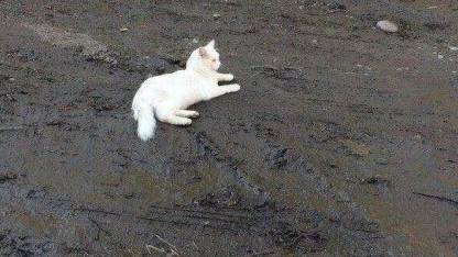 грустный плейлист для бессонницы