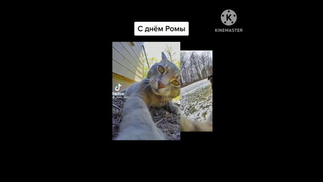 С днём РОМЫ!
