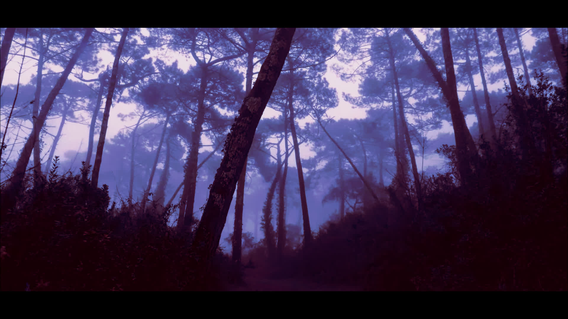 Eolya | VERSA | Viking Music - Nordic Dark Ambient