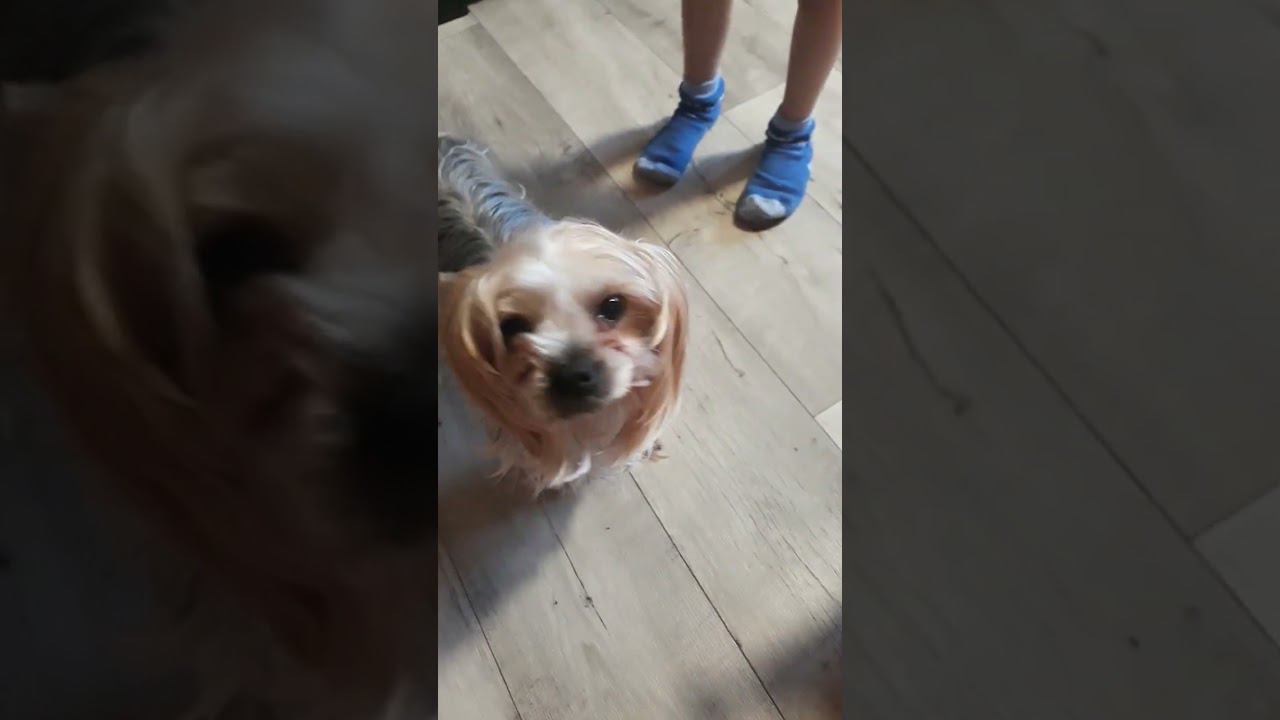 Скоро по домам!