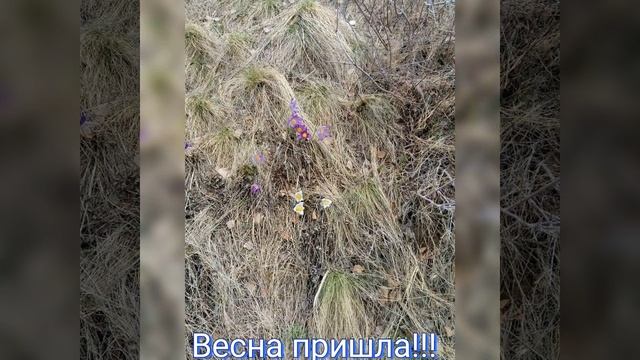 Весна ? на пороге, тепло на душе )