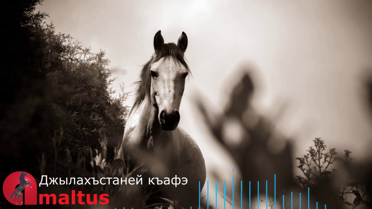 Джылахъстаней къафэ