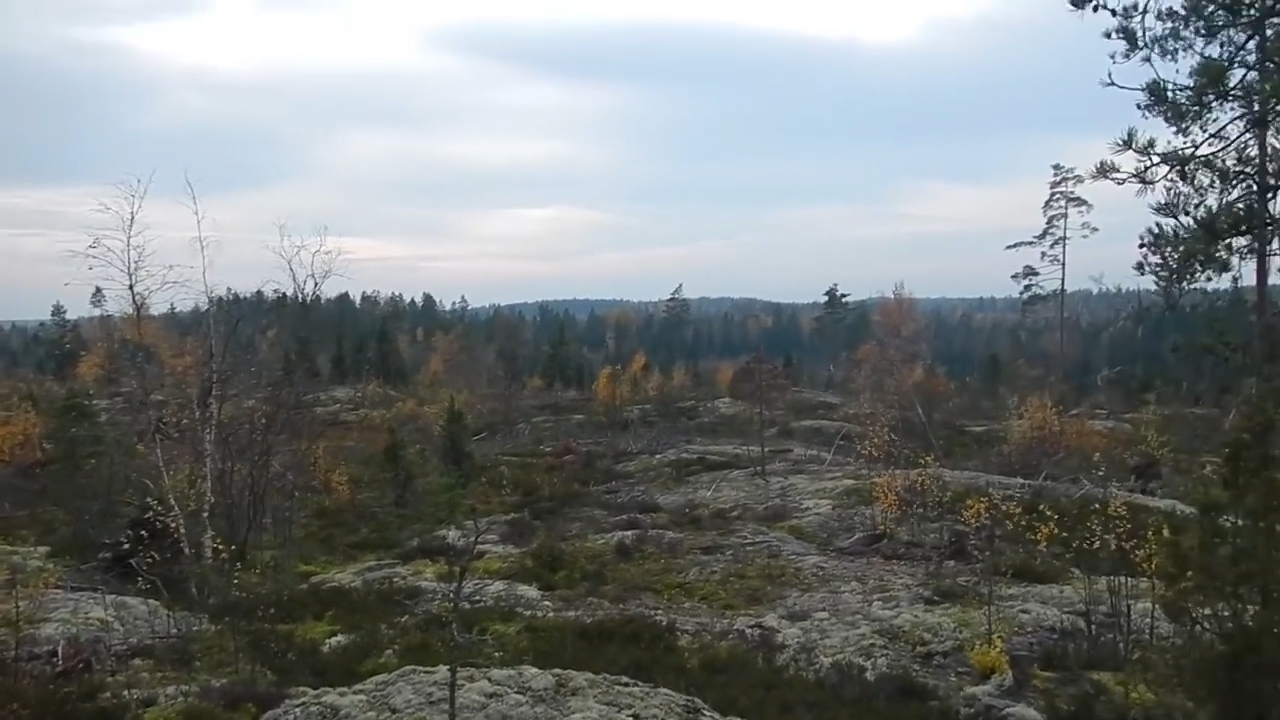 Осень на Карельском Перешейке