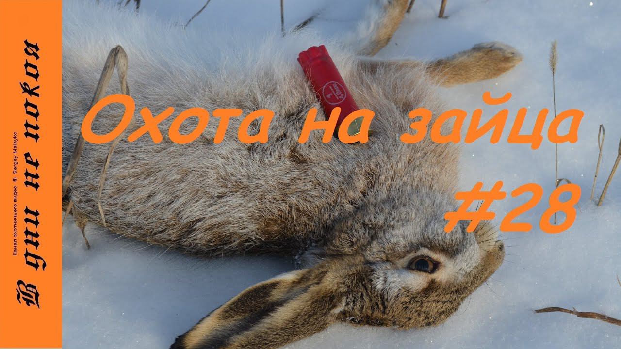 Охота на зайца. Выпуск № 28 18+