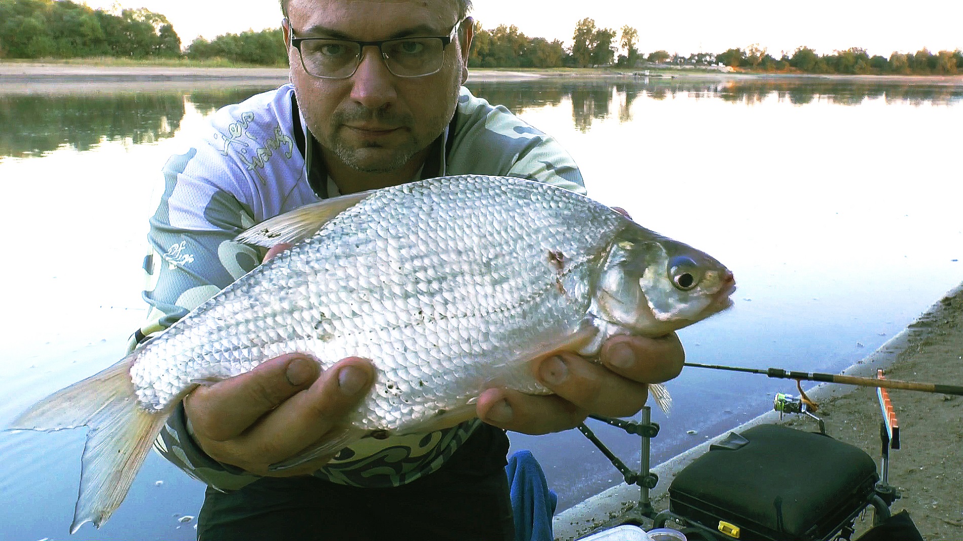 Ловля леща на вечерке в реке с течением. 2 часа отличной рыбалки на закате. Лещи клюют на фидер.