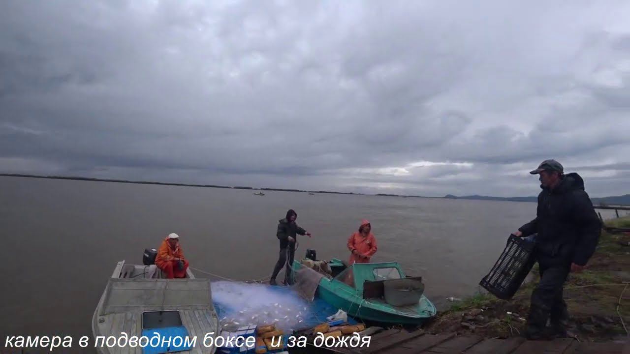АБОРИГЕНКА.  ДОЖДЬ И ШТОРМ РЫБАЛКА НА АМУРЕ. ЖДЁМ РЫБУ КОГДА НАМ ПРИВЕЗУТ. ОСЕННЯЯ ПУТИНА 2020