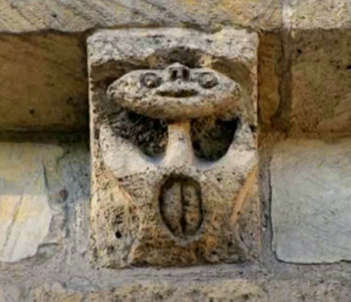 Вульва, когда и как женские гениталии стали непристойными.