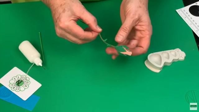 Роза Дэвида Остина  Н. Лоджем  Часть 2