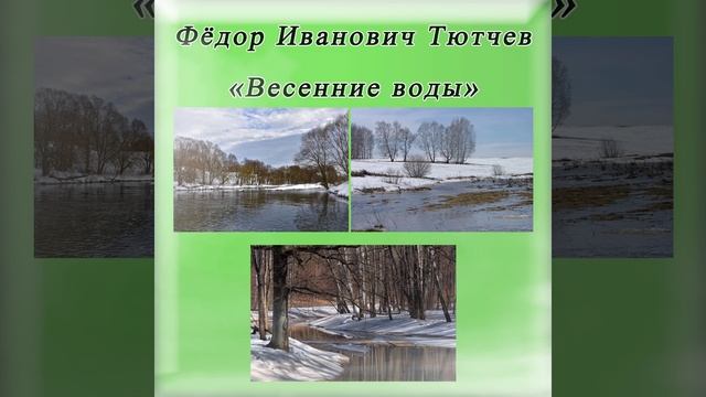 Весенние воды - Тютчев Ф. И. #shorts