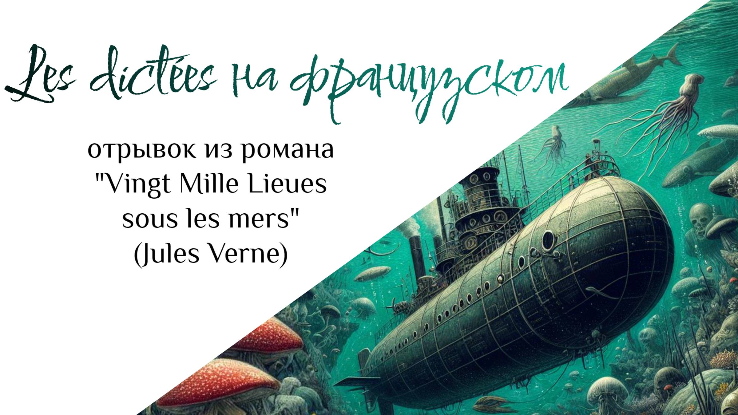 Диктант на французском: отрывок из романа Двадцать тысяч лье под водой (Ж. Верн)