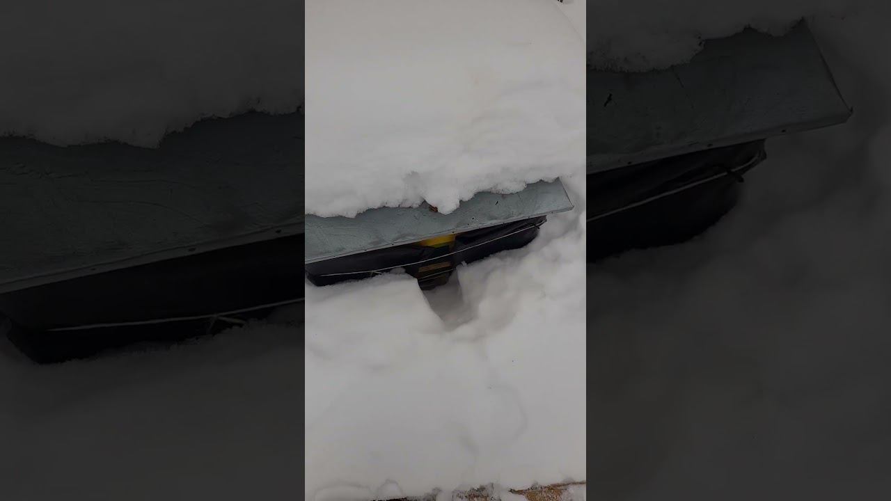 Окончание зимовки пчёл, 2024 г. # пчелы #пасека