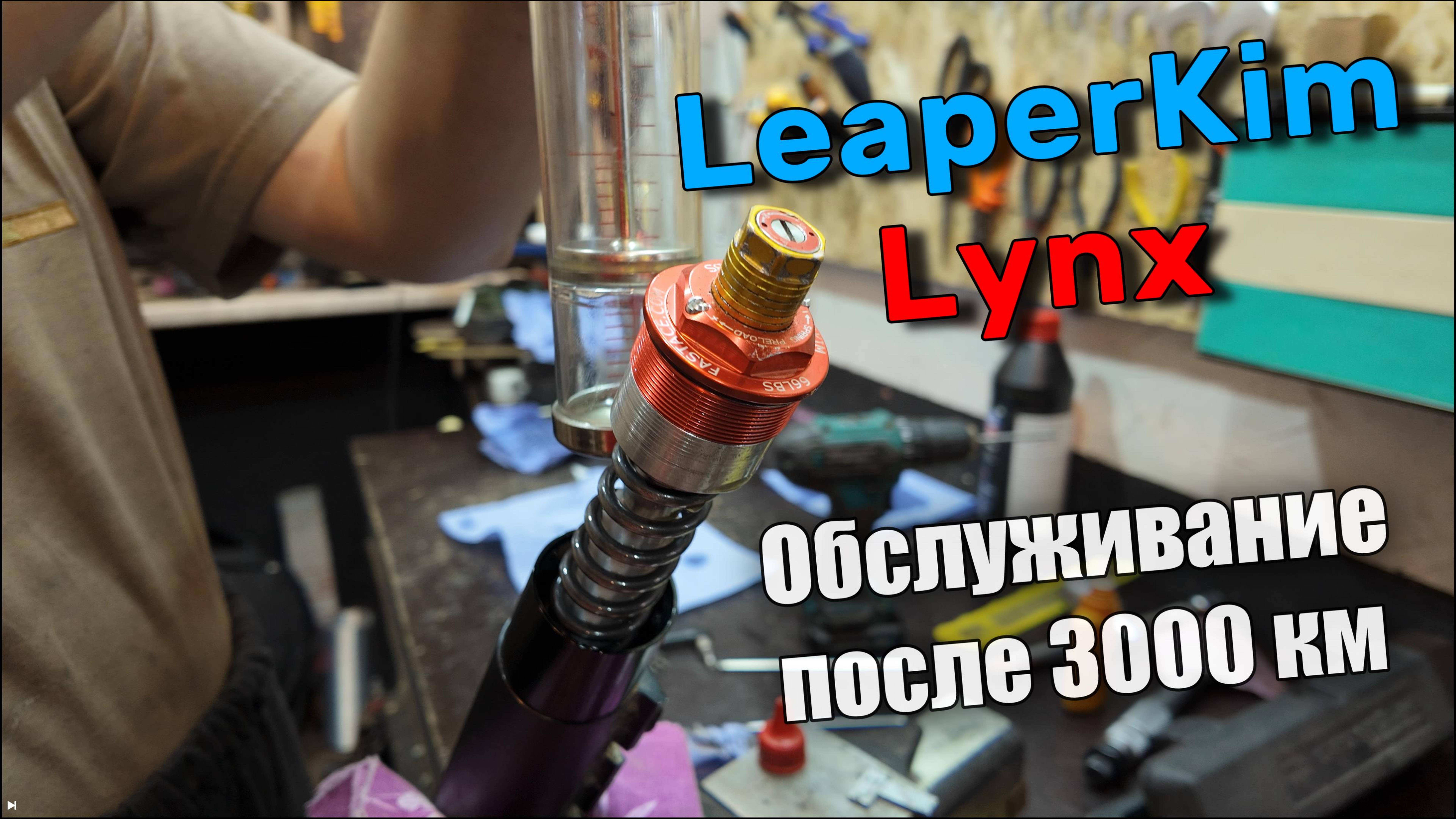 LeperKim Lynx Обслуживание после 3000 км