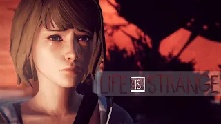 ГЕРОЙ ДНЯ _#13_ Life is Strange _ 5 ep.