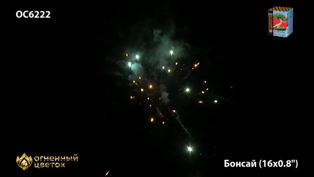 OC 6222 "Бонсай" - 0,8" х 16 залпов.mp4