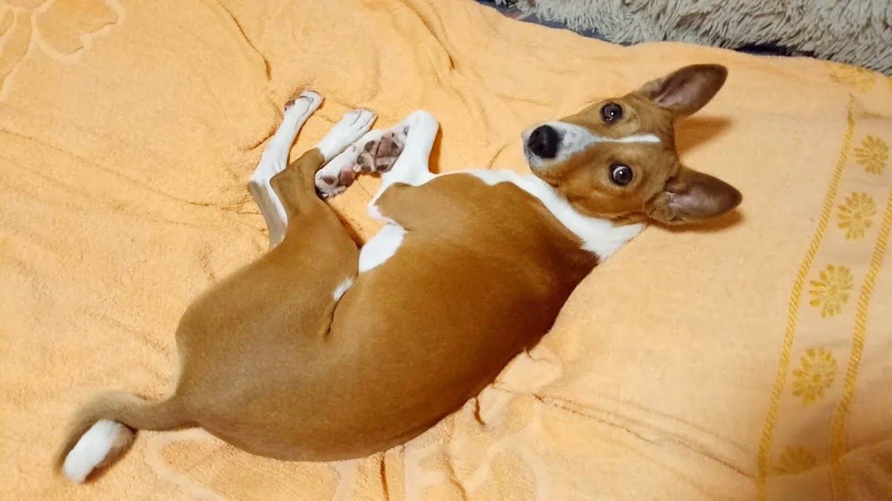 Чииллл... just chill :) Лео & Джоли