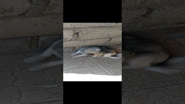 Так, мороженое 🍦разрублено и роздано всем по ровно. Приятного аппетита 🙃