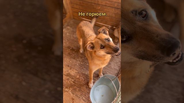 Принцесса Винки, рядом с которой вы всегда   будите дома