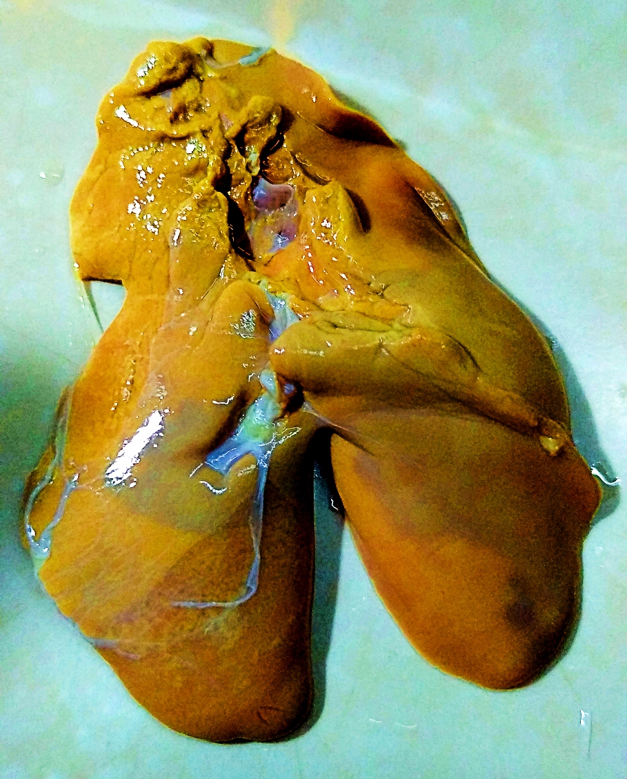 Моя версия МеМа "Девушка решила поиграть на гитаре" ??? #shorts