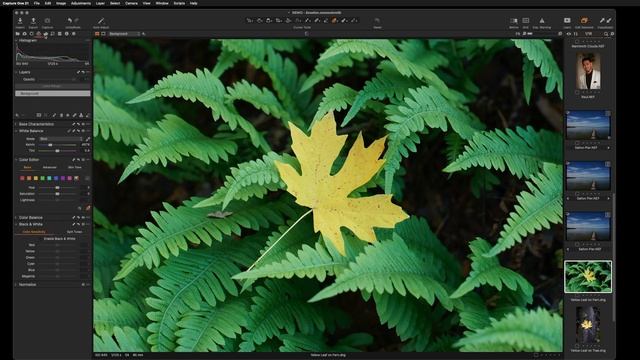10 - Color Editing PT2