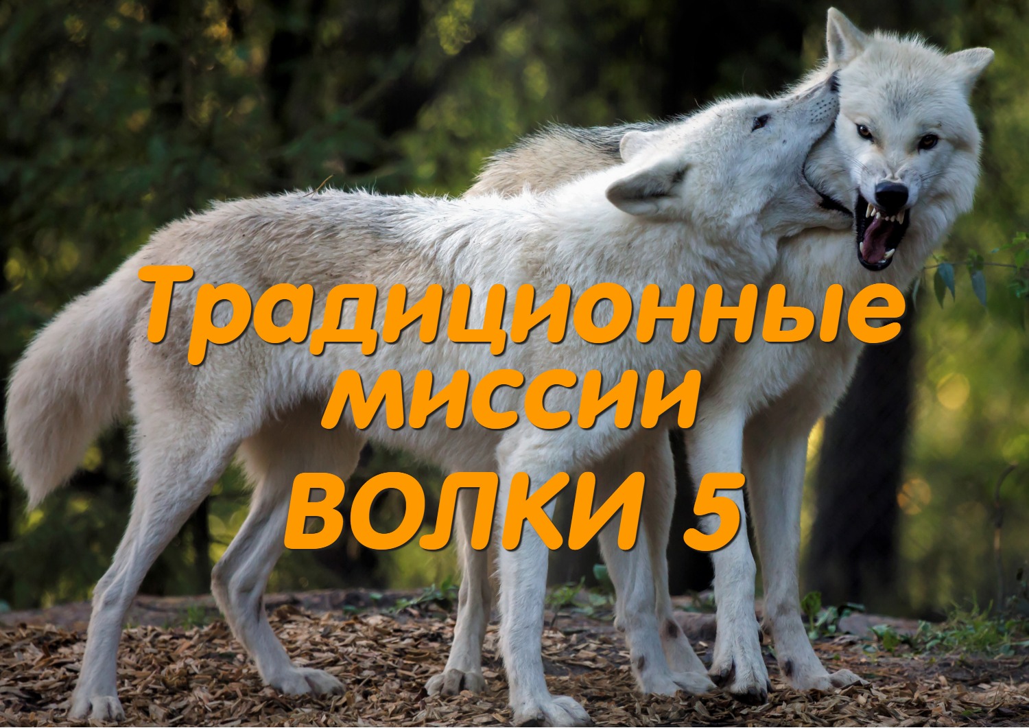 The Hunter classic(Традиционные миссии Волки 5)