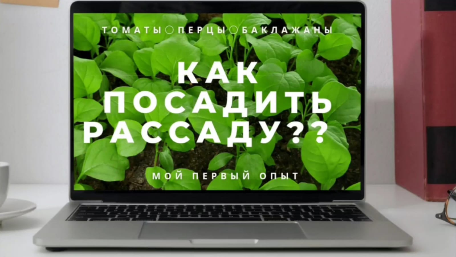 Как посадить рассаду? Первый опыт. Томаты. Перцы. Баклажаны. How to plant seedlings.