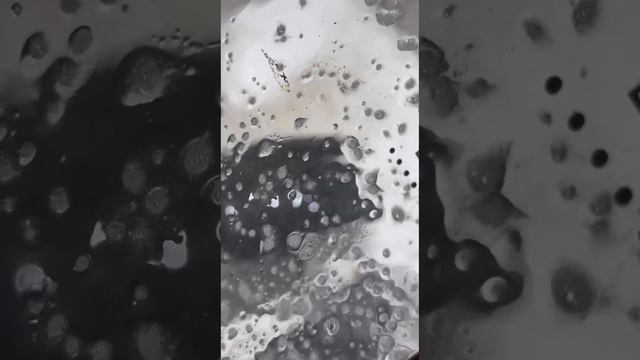 Ремонт осушителей